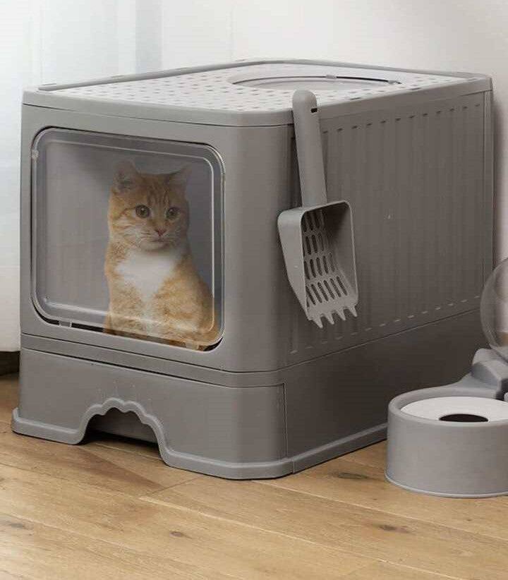 Areneros de Gato – idogicat